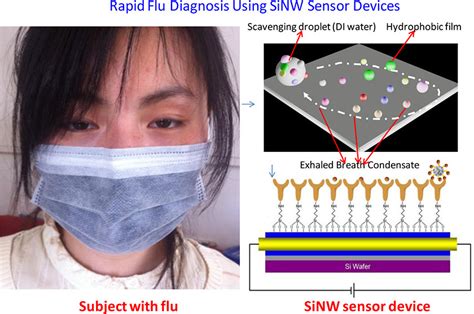 Ha Na Kyung No Sensor