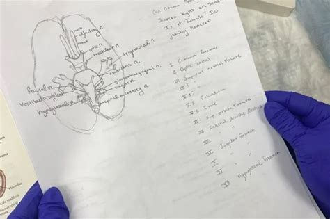 What Are The 5 Hardest Ap Classes In High School 2025