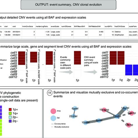 PDF CaSpER Identifies And Visualizes CNV Events By Integrative Analysis Of Single Cell Or Bulk