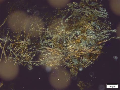 Unknowns And Particle Id Often Materials Dust Or Particles Are Recovered From Environmental