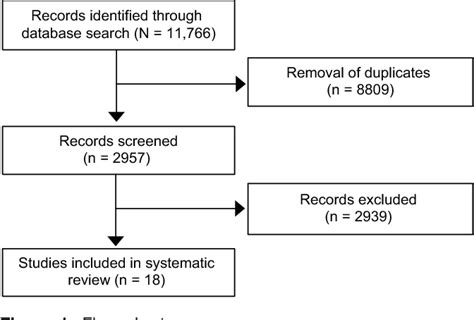 Figure 1 From Hamstring Tendon Regeneration After Harvesting Semantic Scholar