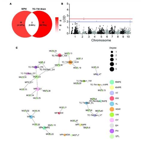 Quantitative Trait Loci Qtl Mapping Results For The Trait Ear Download Scientific Diagram