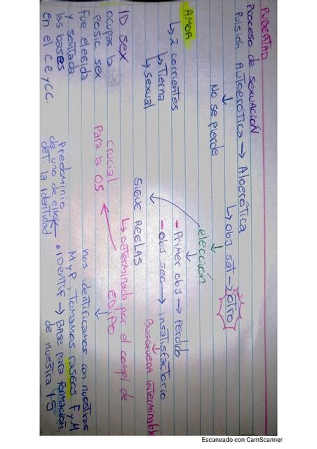 Proceso de sexuación Luli Bus uDocz