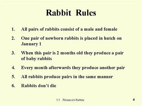 Section 5 5 Fibonaccis Problem 5 5 Fibonaccis