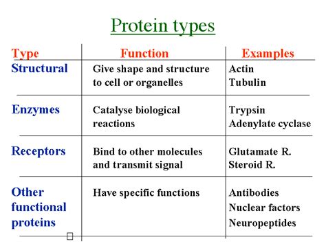 Proteins Macromolecule Mania