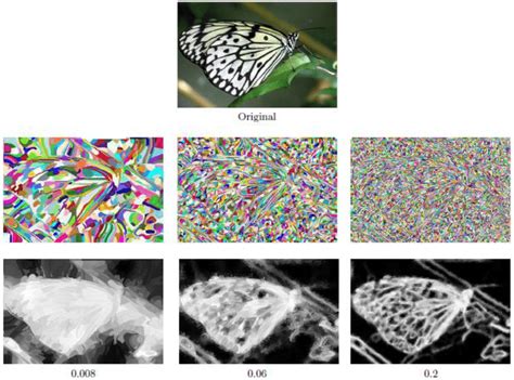 Illustration Of Colour Segmentation First Line And Their
