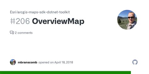 OverviewMap Issue 206 Esri Arcgis Maps Sdk Dotnet Toolkit GitHub