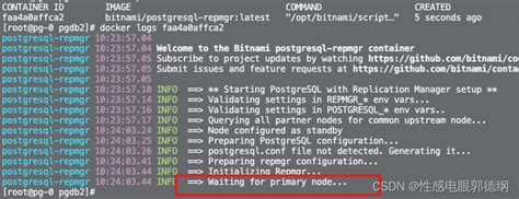 Dockerpostgresqlpgpool搭建集群数据库遇到问题求助 Waiting For Primary Nodedocker上