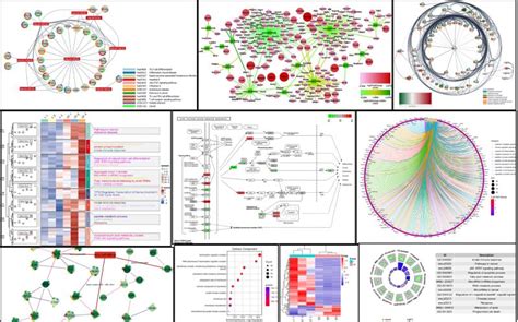 In Silico Analysis On Linkedin Proteininteractions Bioinformatics Systemsbiology