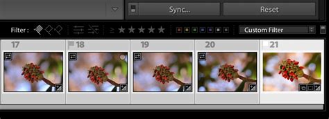 Tips For A Faster Lightroom Workflow