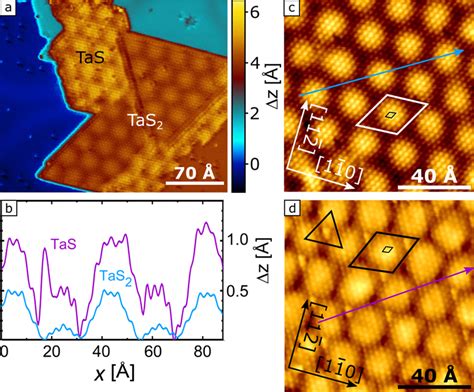 Structure Of Tas 2 And Tas A Stm Image Of A Heterostructure Island