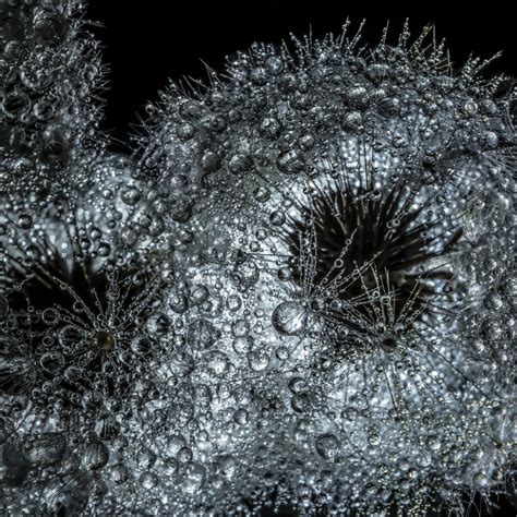 Out Of Distribution Detection Is It All A Cluster Game A Sneak Peak Into Ood Detection