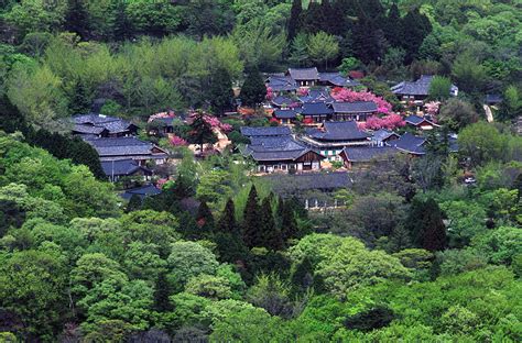 전라남도 순천시 국내여행 음식정보 전통시장 여행지추천 지역축제 테마여행 트래블아이