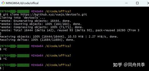 8、vue：安装vue devtools 知乎