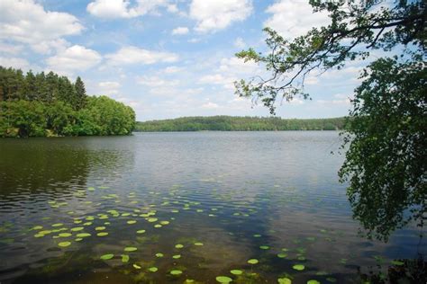 Atrakcje Bory Tucholskie Sp Ywy Kajakowe Wda Brda Szlaki Rowerowe Kaszubska Marszruta