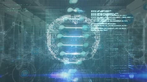 Animation Of Human Brain Dna Strand Spinning And Data Processing Stock Footage Video Of