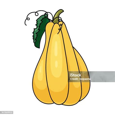 흰색 배경에 신선한 호박 겨울 을 위한 수확 가을 수확 벡터 일러스트레이션 10월에 대한 스톡 벡터 아트 및 기타 이미지 10월 가을 건강한 식생활 Istock