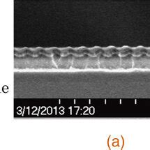 SEM Images Of A Fabricated Device A Side View And B Top View Download Scientific Diagram
