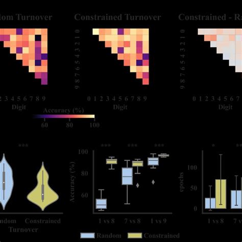 Functional And Structural Plasticity A Functional Plasticity Inspired Download Scientific