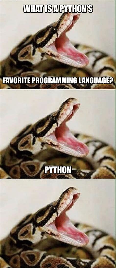 Демотиватор про Python 45 фото