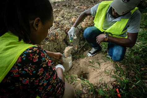 Risk Identification Resilience Magazine