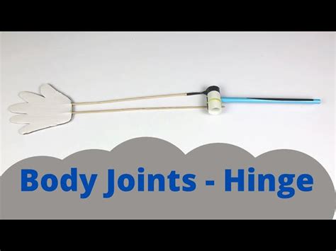 Hinge Joint Model