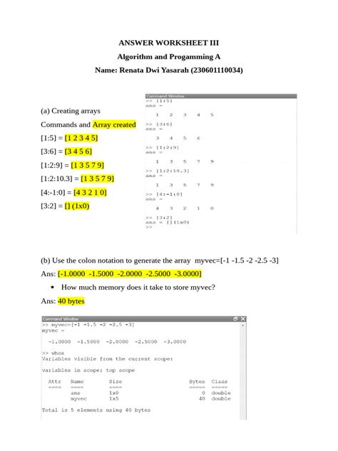 Answer Worksheet Iii Arrayandmatrix Pdf