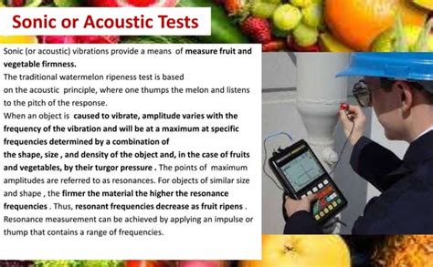 Textural Attributes Of Fruits And Vegetables Pptx Food And Drink