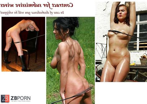 Contract For Subjugated Wives ZB Porn