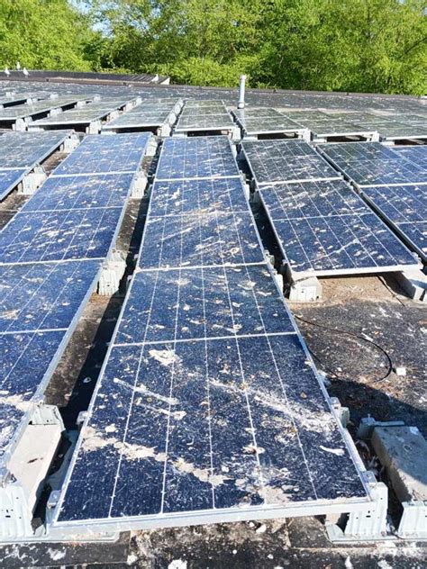 The 8 Most Common Solar Panel Problems You May Encounter Sun Wind