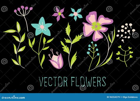 Vector Set Of Flowers Stock Vector Illustration Of Flowers 96554379