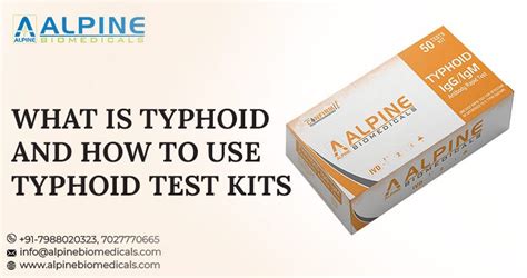 What Is Typhoid And How To Use Typhoid Test Kits Alpine Biomedicals