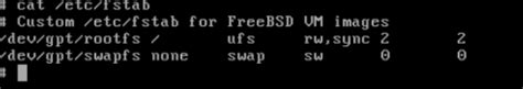 Recover From File System Corruption Using Freebsds Single User Mode