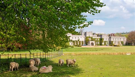 West Dean College Where Creative Talents Are Discovered And Developed Museums Heritage Advisor