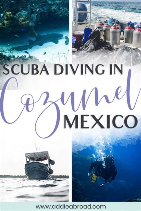 The Complete Cozumel Scuba Diving Guide Addie Abroad
