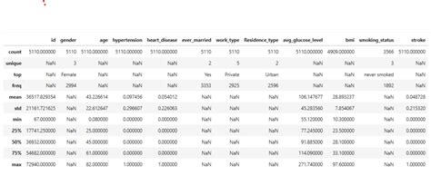 Ischemic Stroke Detection Using Machine Learning My Portfolio