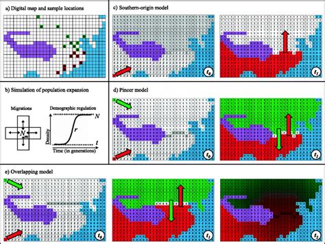 schematic representation of simulation of population expansion and download scientific diagram