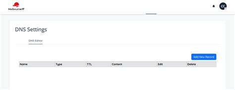 Managing DNS In Your Client Area