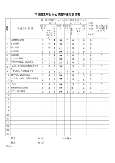 重要环境因素打分表