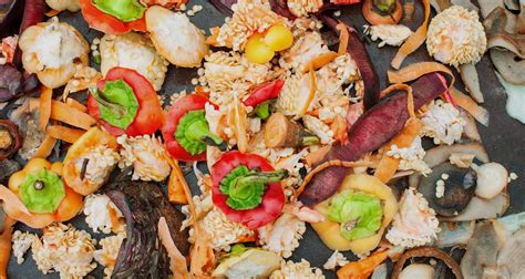 The Dos And Donts Of Composting An Essential Guide Backyard Vegetable Gardener