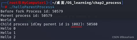 【操作系统】以fork为例详解进程的创建过程与父子进程关系fork函数子进程与父进程运行关系 Csdn博客