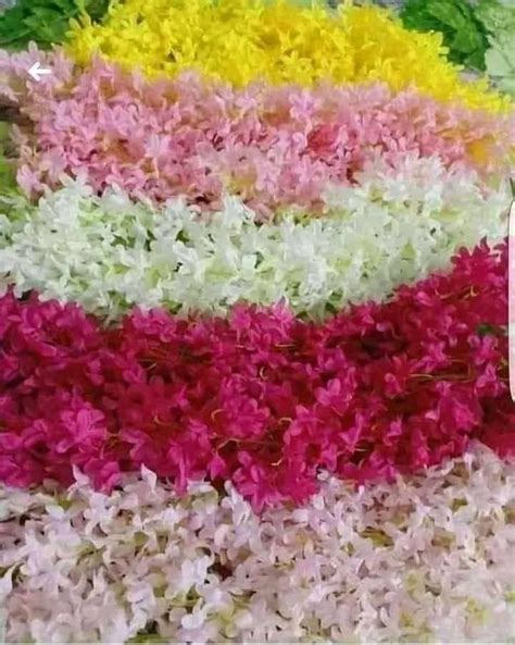 The Flamming Pink Added A New Photo The Flamming Pink