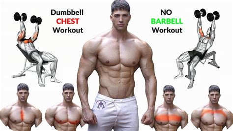 Best Chest Workout Using Dumbbells At Carl Hendricks Blog