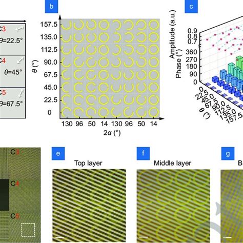 Schematic Of The Designed Vectorial Hologram Metasurface Device