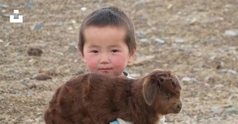 흰 셔츠와 파란 바지를 입은 소년이 갈색과 흰색 짧은 코트를 입고 땅에 앉아 있다 사진 Unsplash의 무료 몽골 이미지