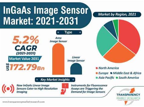 Ingaas Image Sensor Market Scope Dynamics Future Scenario 2031