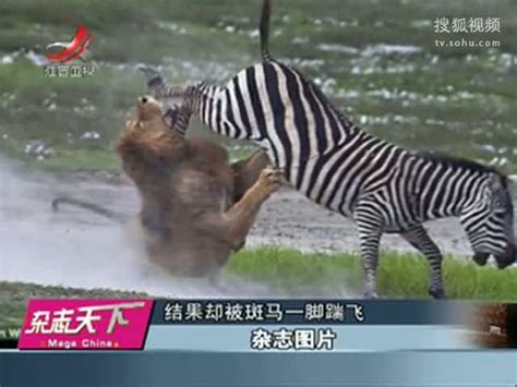 一脚踹飞一脚踢飞表情包 伤感说说吧