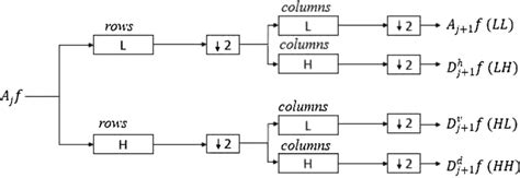 Hierarchy Of A Wavelet Decomposition Download Scientific Diagram