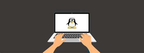【2024年最新】udemyのlinux講座おすすめ5選｜yesnocode