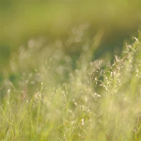 Fahim Hossain Posted On Linkedin